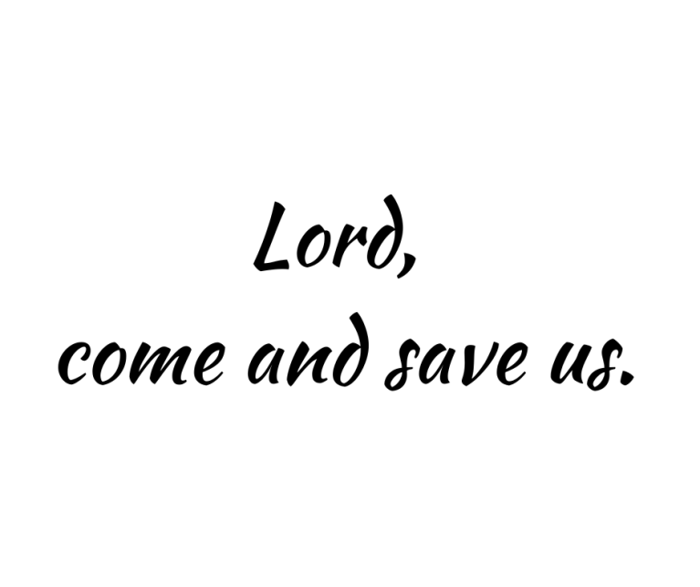 Psalm for the 3rd Sunday of Advent (A) – Sunday Readings